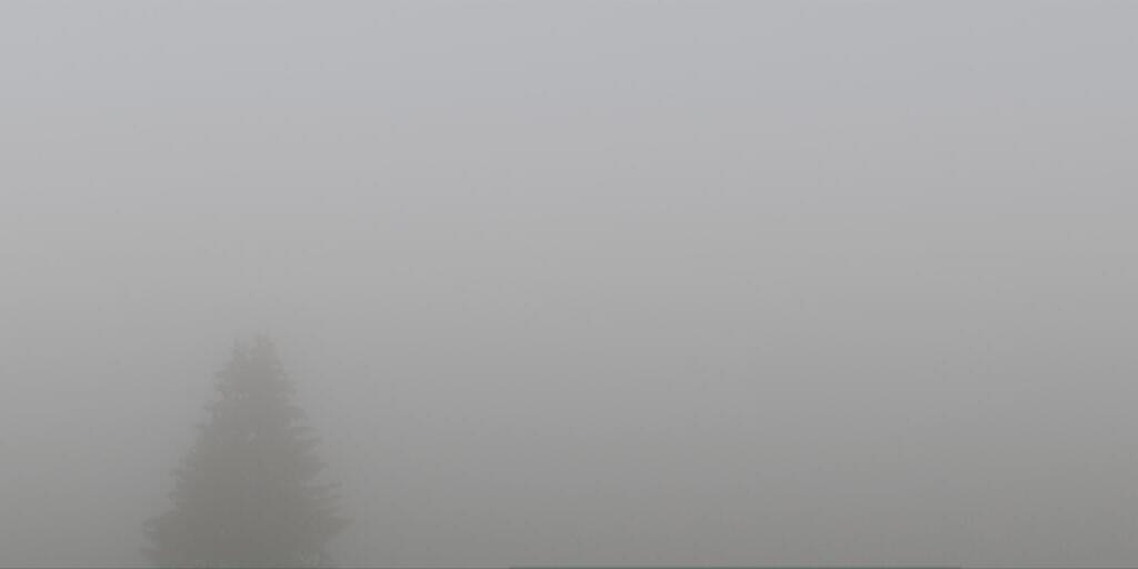 Webcam Heiden: roundshot 300° Panorama Heiden