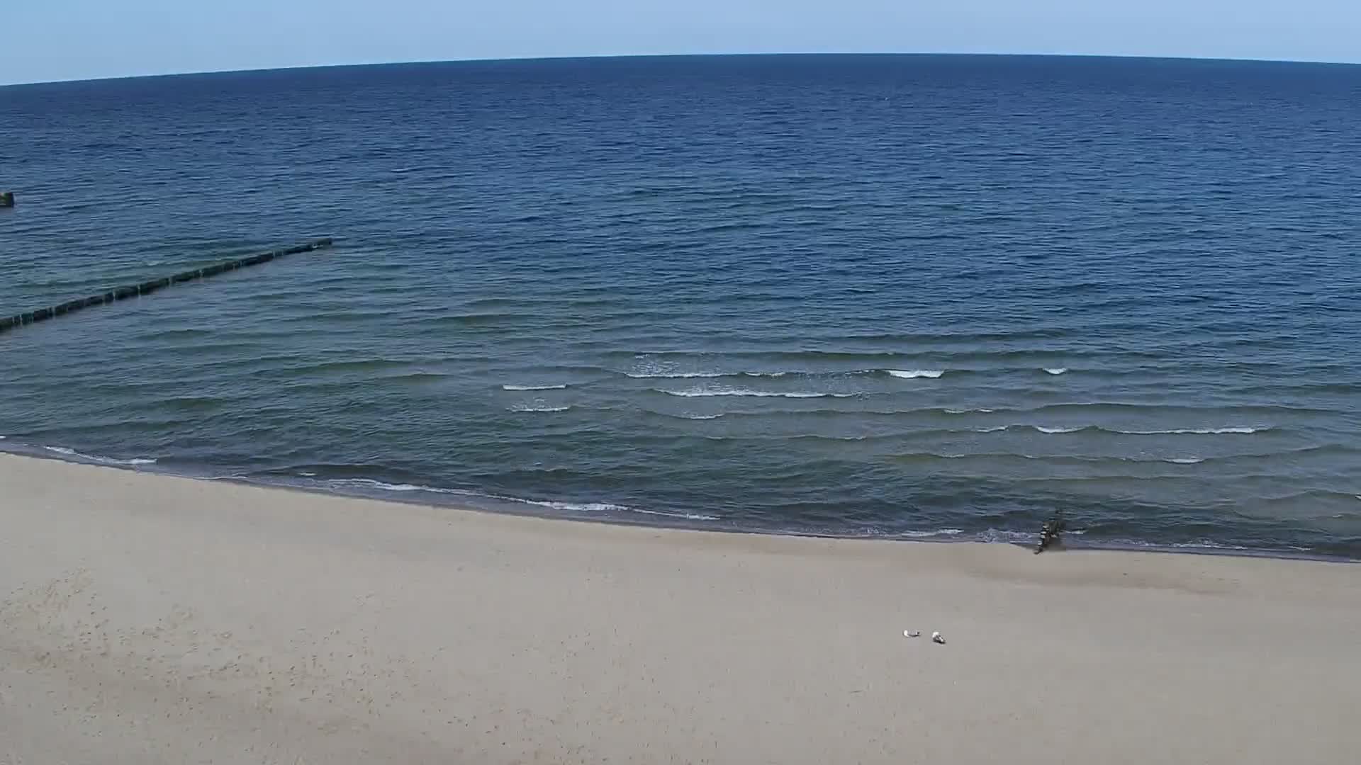 Rewal: Livestream Strand - Webcam Galore