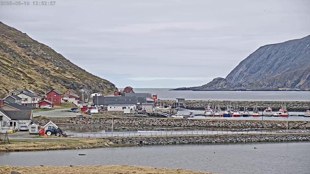 Webcam Skarsvåg: Panorama View