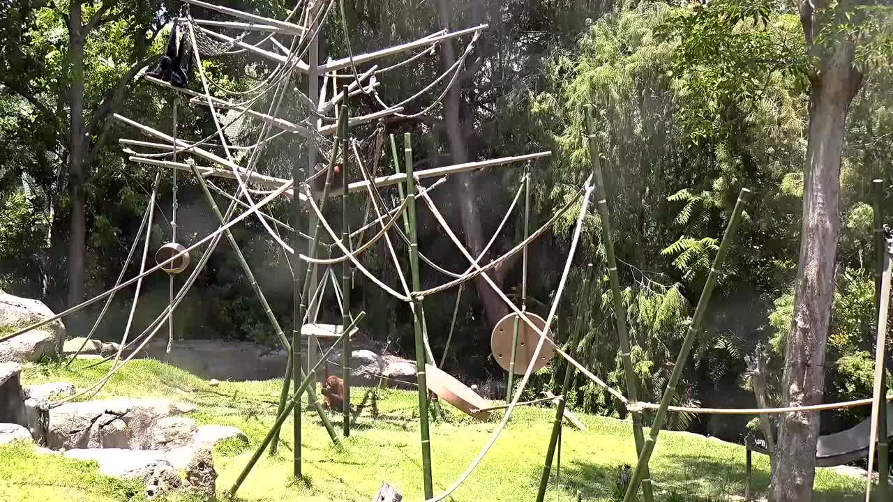 San Diego, California - Webcam Galore