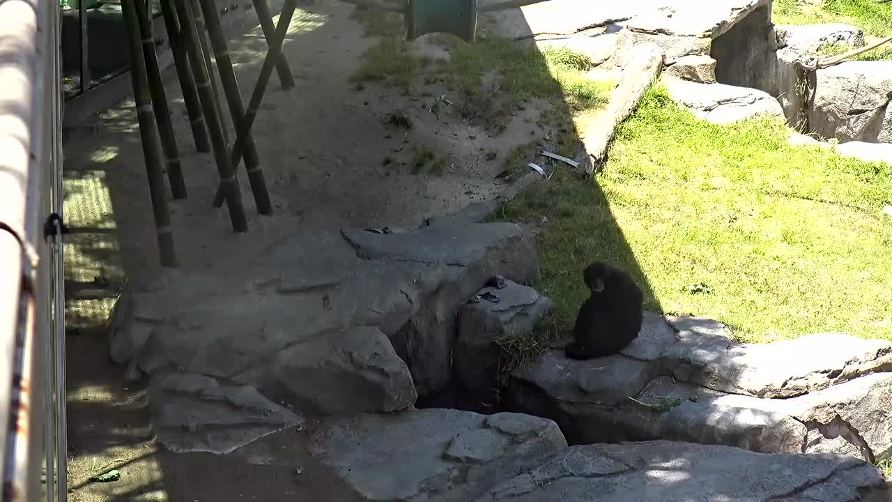 San Diego, California - Webcam Galore