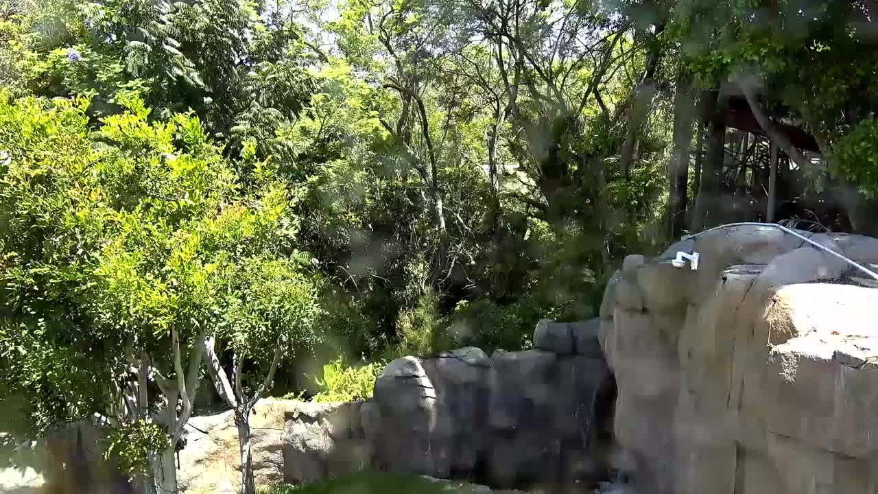 San Diego, California - Webcam Galore