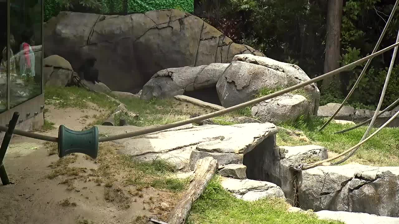 San Diego, California - Webcam Galore