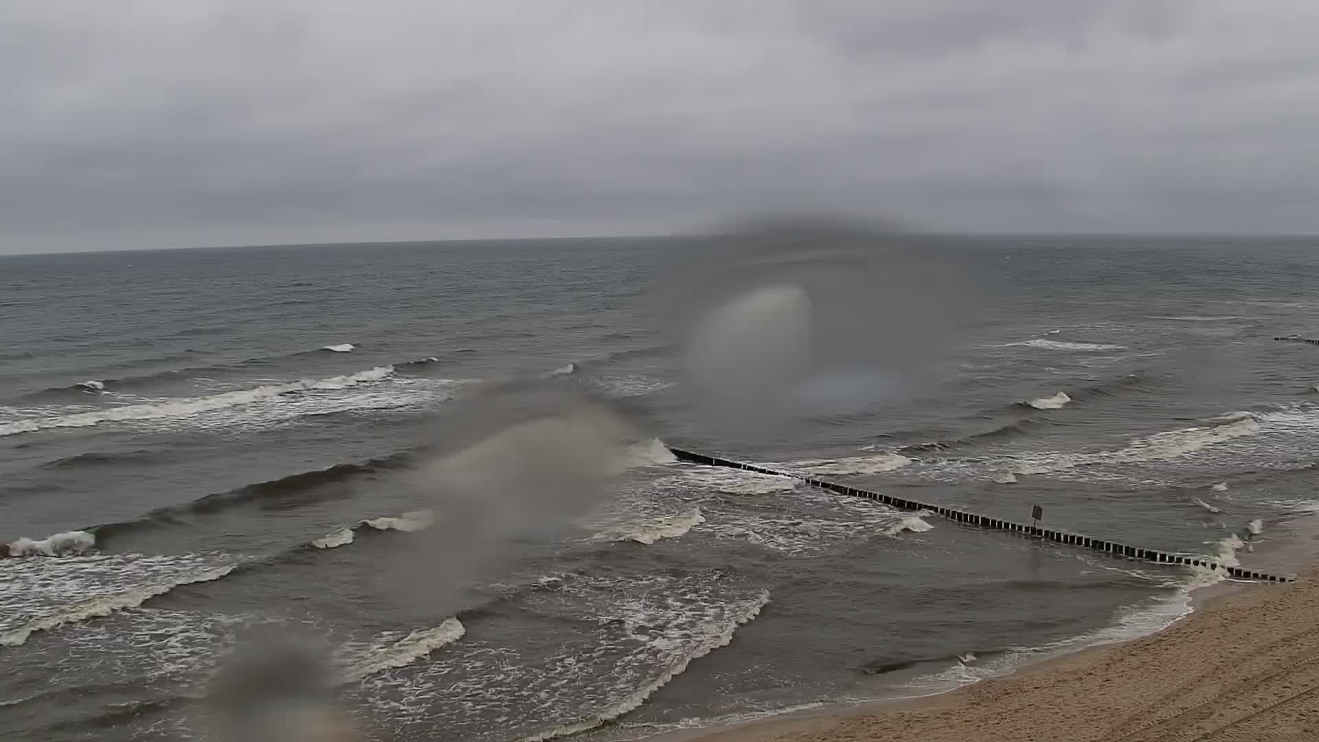 Rewal: Livestream Strand - Webcam Galore