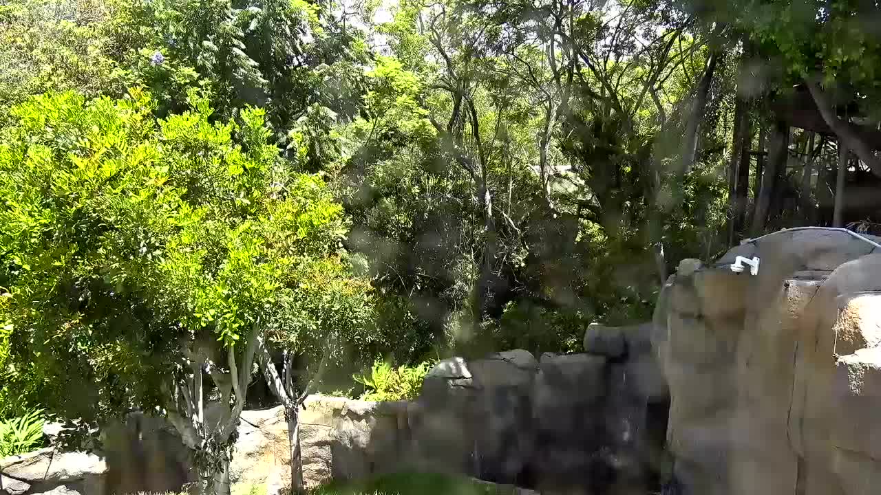 San Diego, California - Webcam Galore