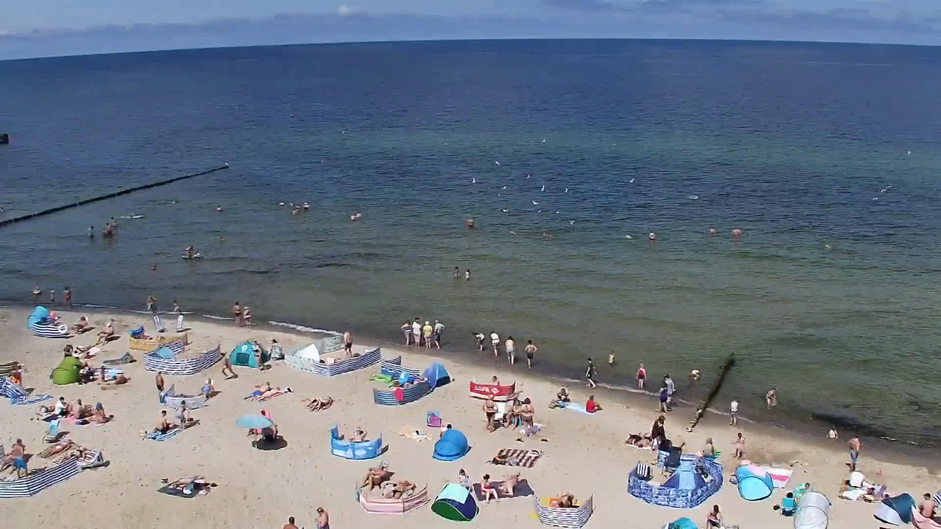 Rewal: Livestream Strand - Webcam Galore