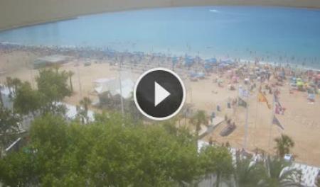 Webcam Benidorm: HD Stream Levante Beach