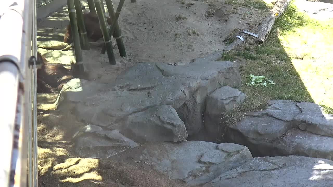 San Diego, California - Webcam Galore