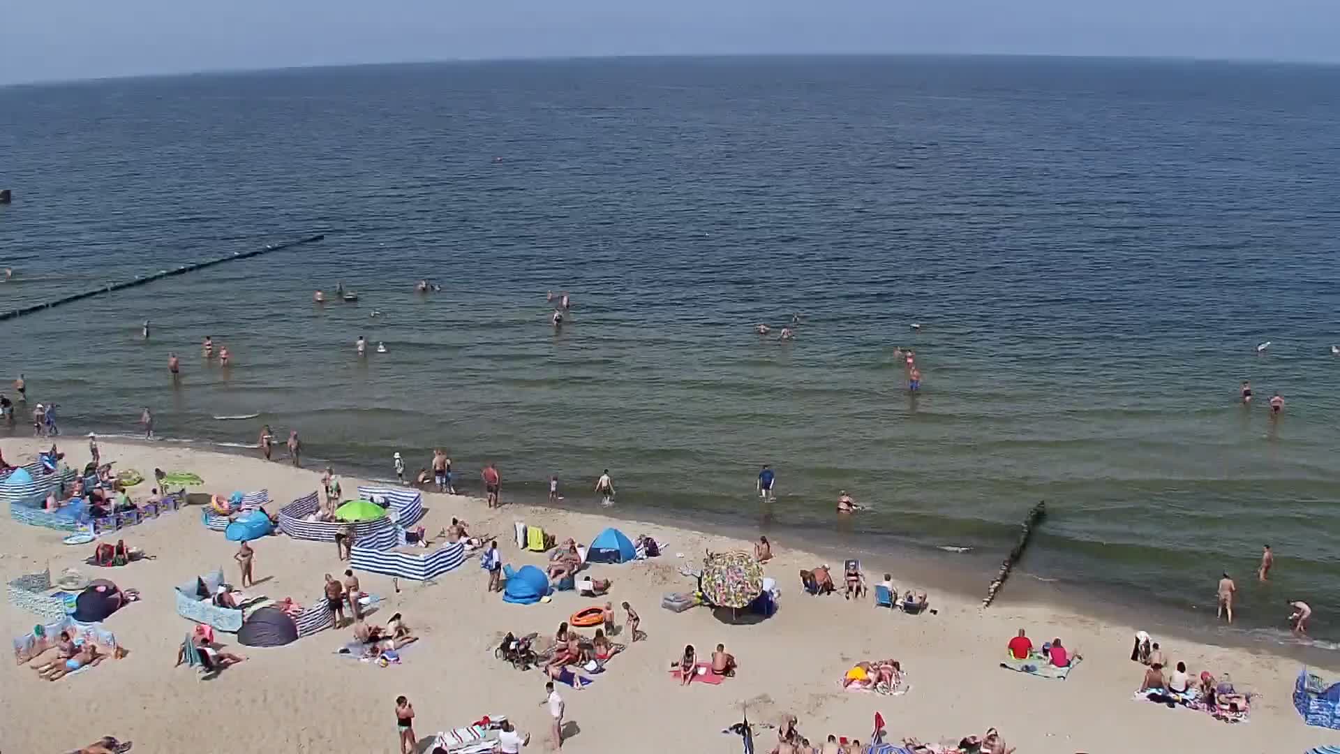 Rewal: Livestream Strand - Webcam Galore