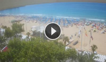 Webcam Benidorm: HD Stream Levante Beach