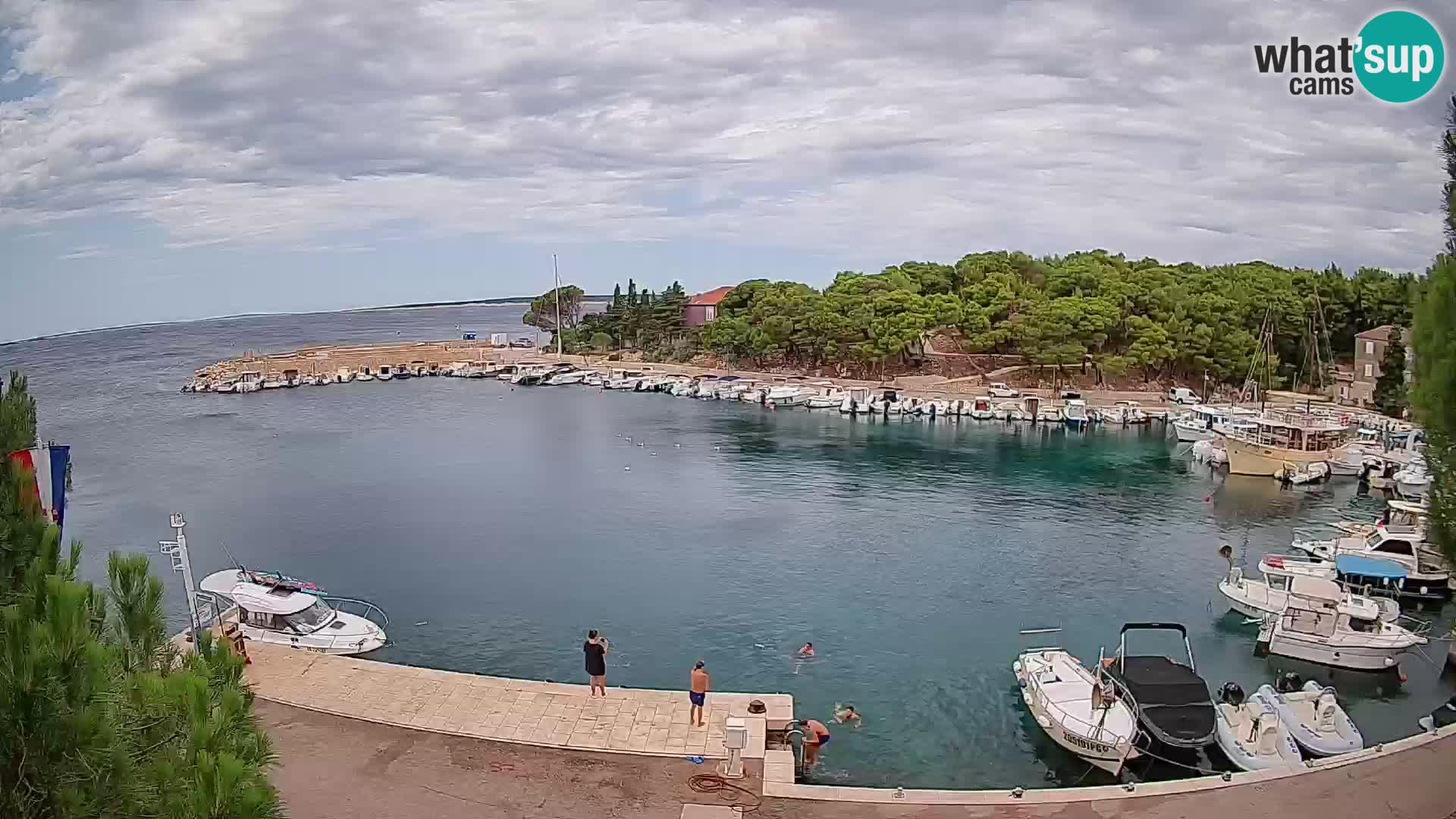 Webcam Mandre (Pag): Marina Mandre