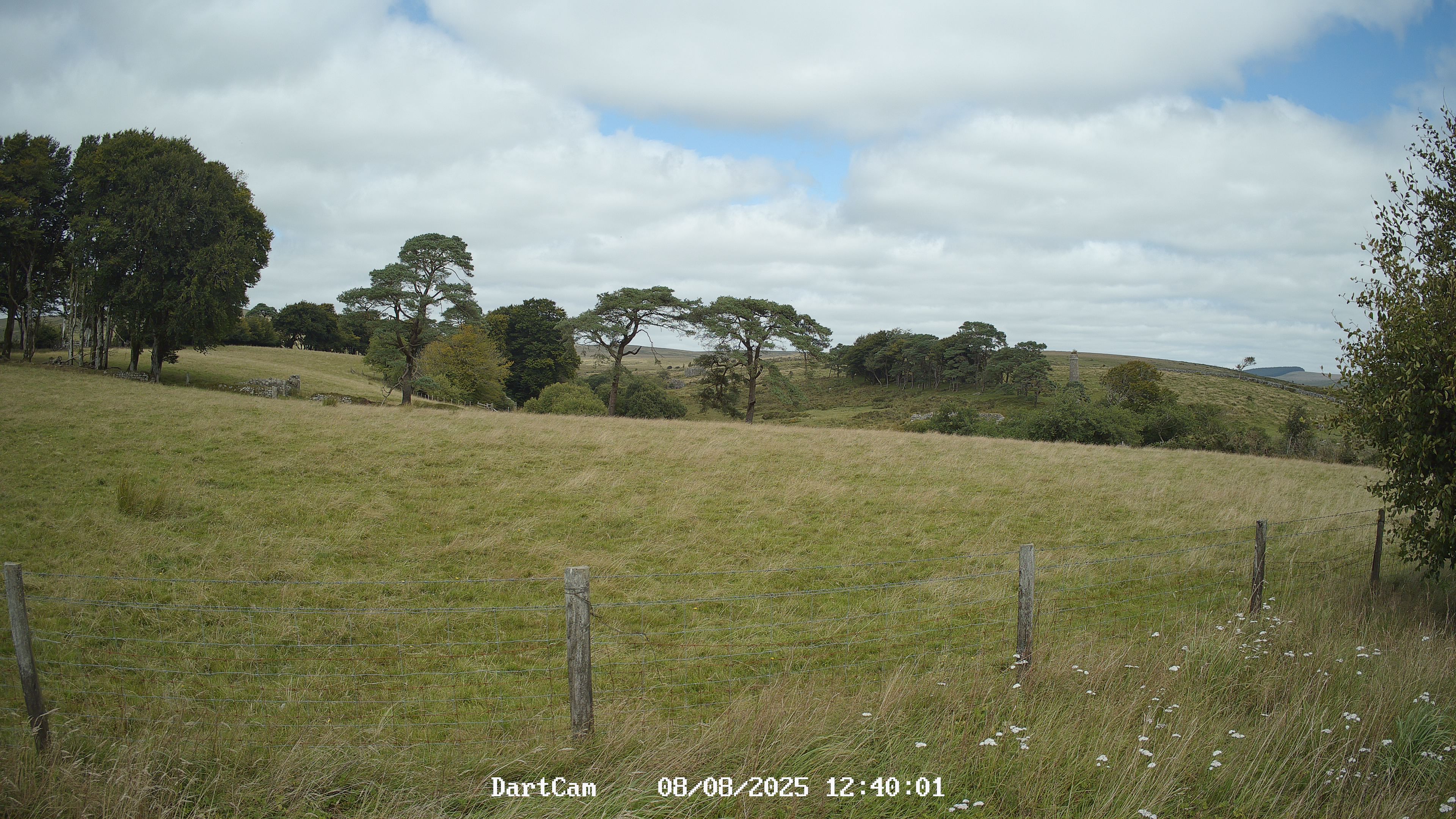 Webcam Dartmoor: Dartmoor Cam